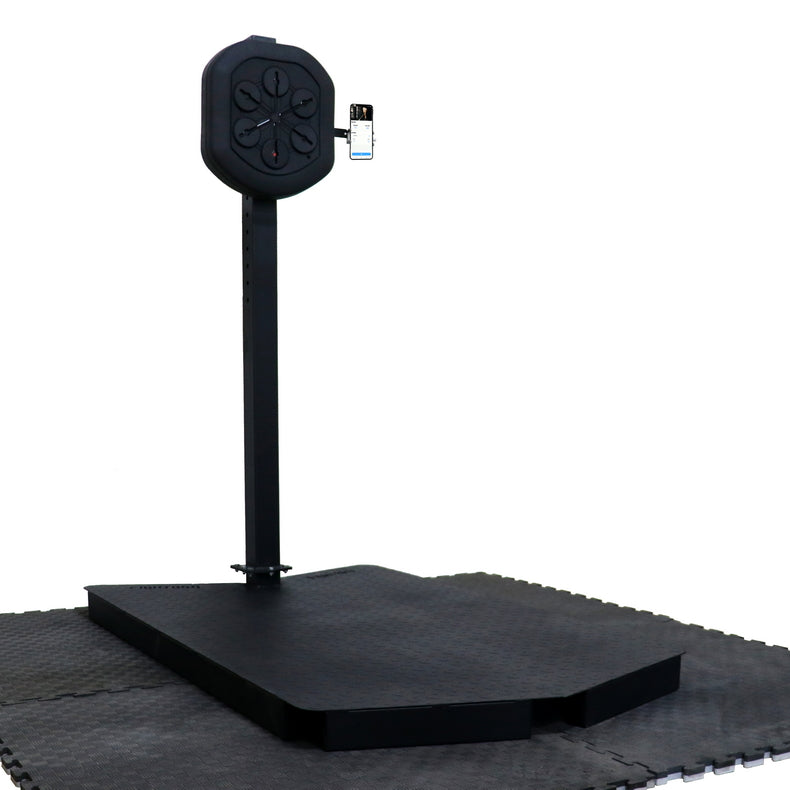 PunchOne Digital Boxing Machine – FightBro Shop