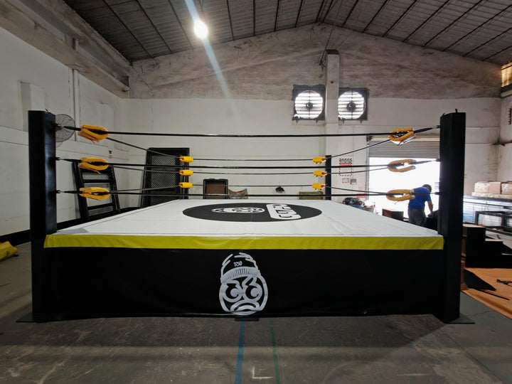 Professional Boxing Rings for Competition and Training in USA ...